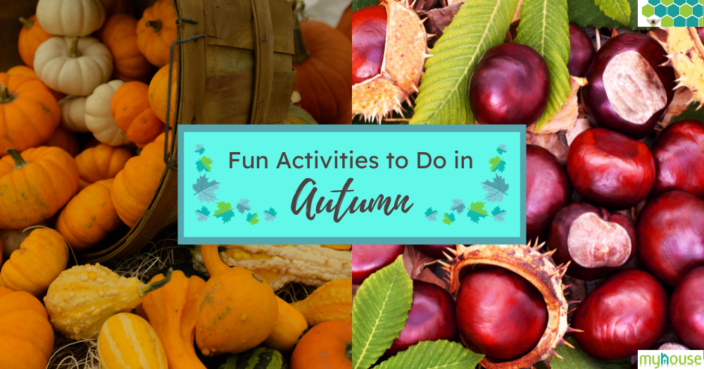 Autumn Activity Guide for Manchester Residents