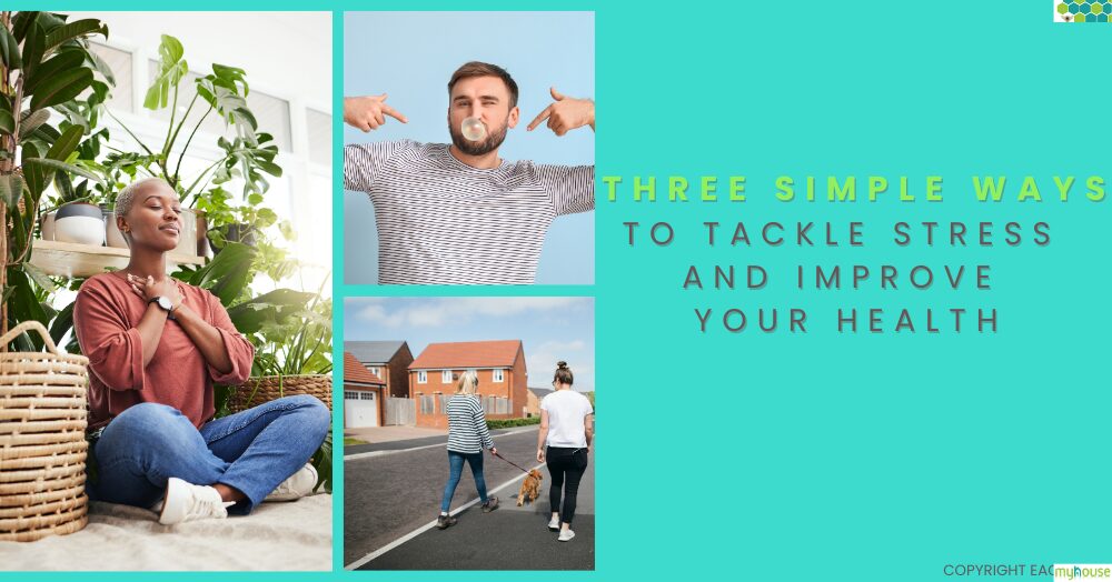 Feeling Stressed? Here Are Three Tips to Calm Your Mind and Body