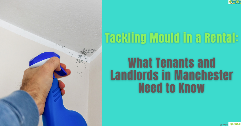 Mould Prevention: Why Tenants and Landlords in Manchester Need to Work ...